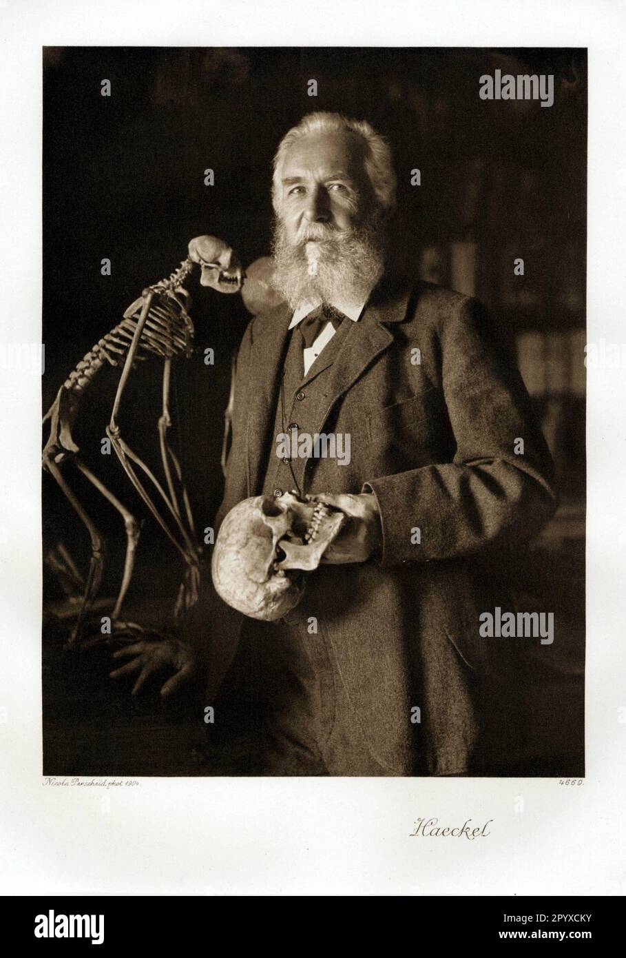 Ernst Haeckel (1834-1919), German zoologist and philosopher ...