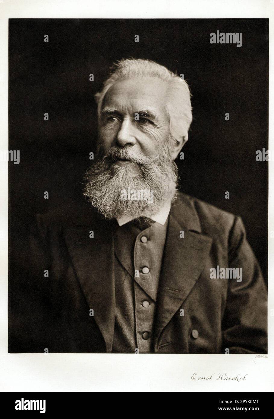 Ernst Haeckel (1834-1919), German zoologist and philosopher. Photograph ...