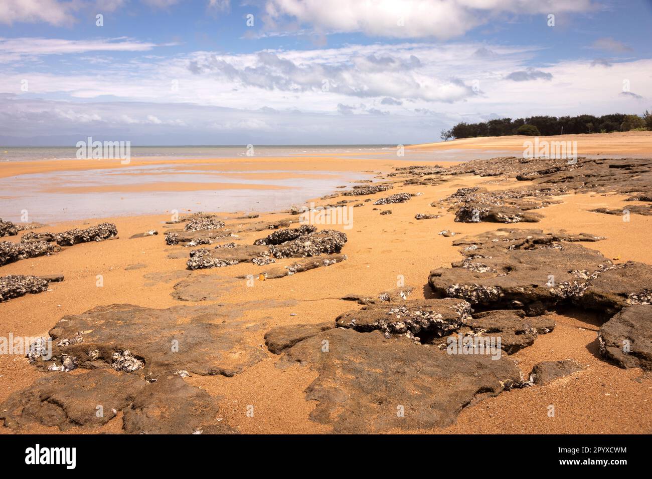 A serene landscape featuring a sandy beach at West Point on Magnetic ...
