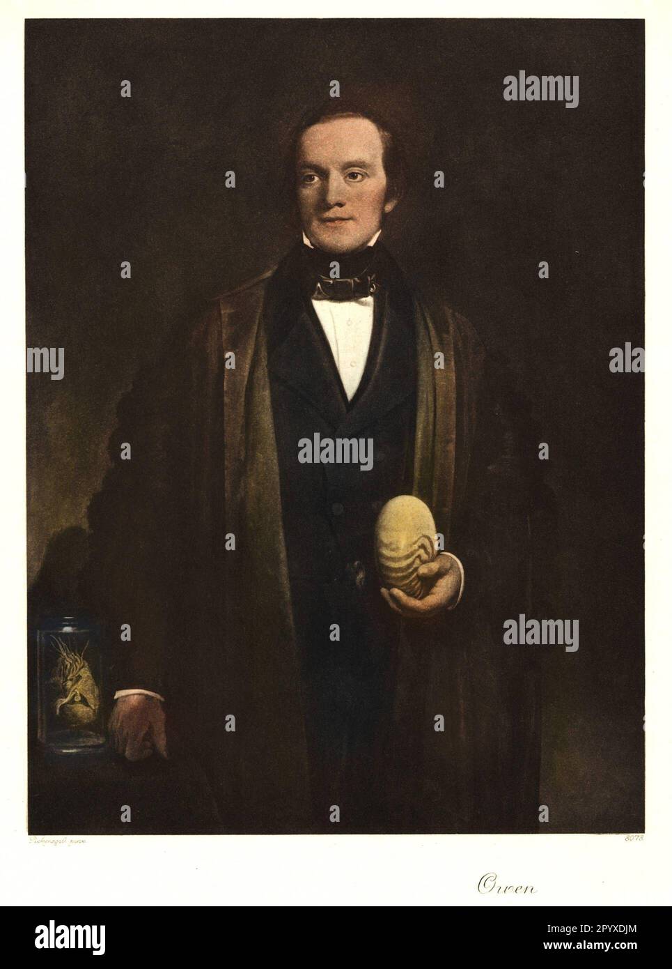 Richard Owen (1804-1892), British anatomist and paleontologist. Painting by Pickersgill. Photo ...