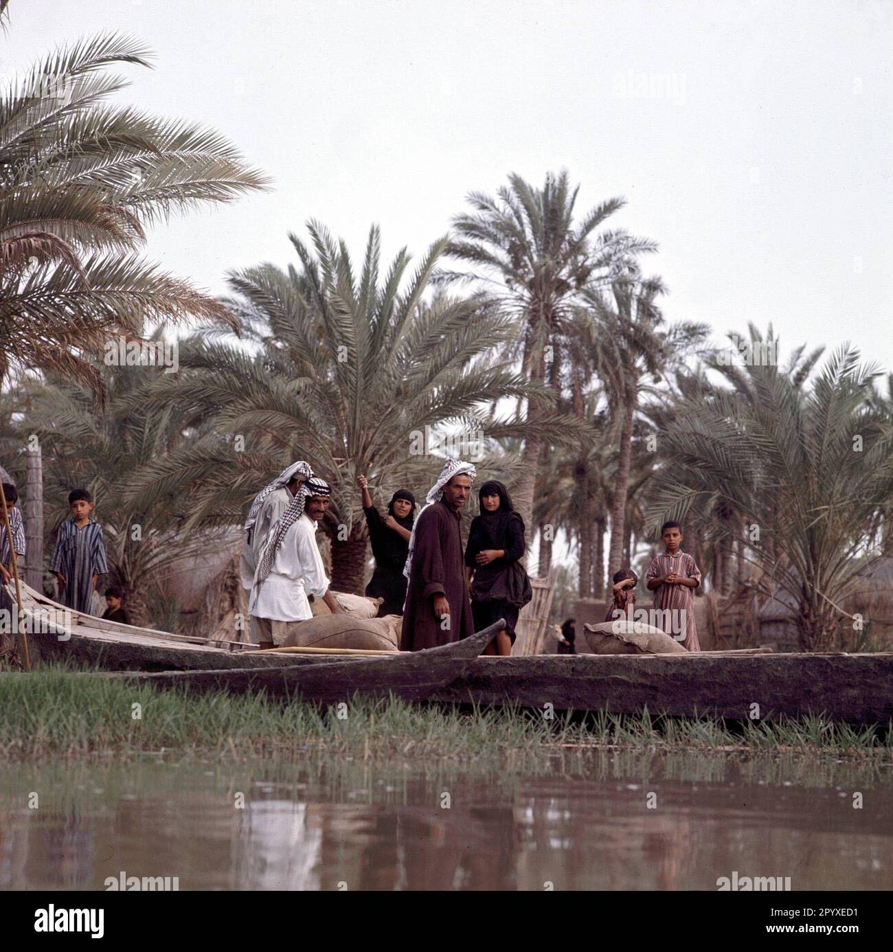 Farmers of the marshes in southern Iraq load their boats Stock Photo ...
