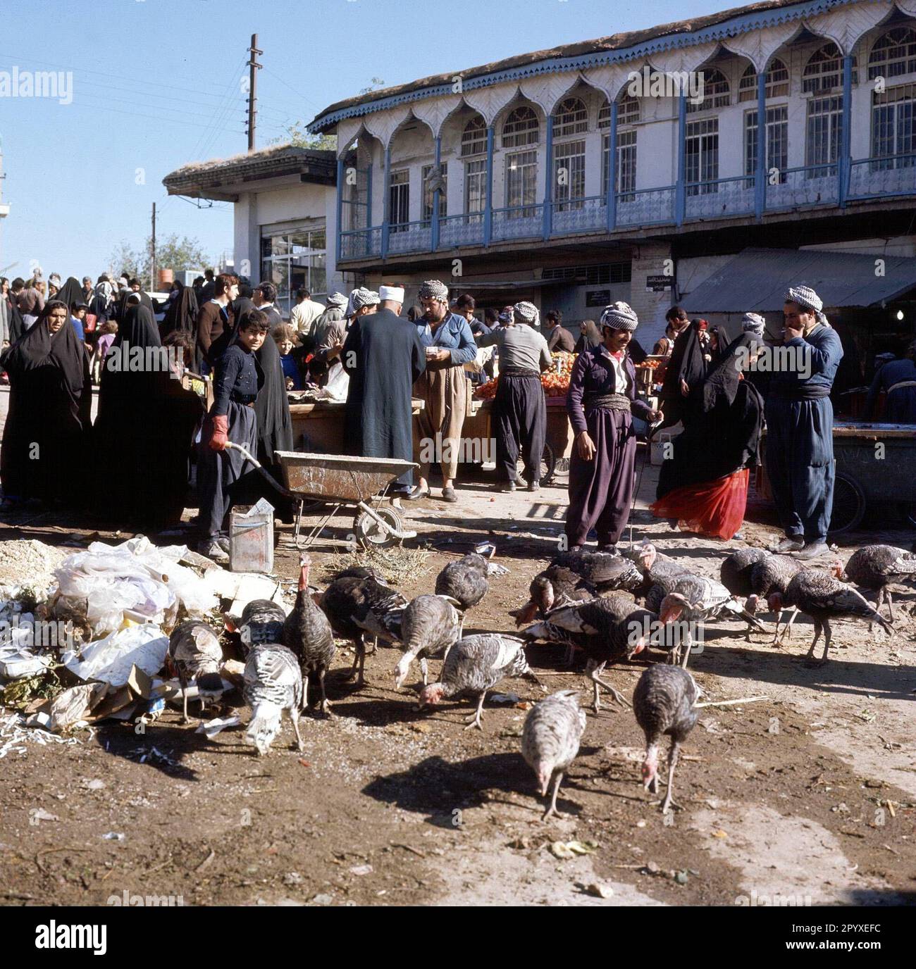 Market scene with turkeys in the north of Iraq Stock Photo - Alamy