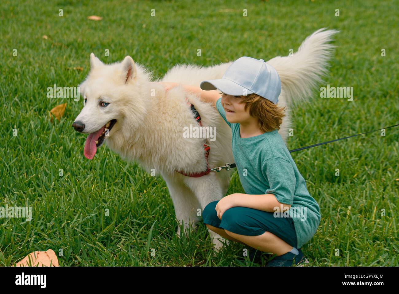 Happy child with dog on gras. Portrait kids boy with pet playing ...