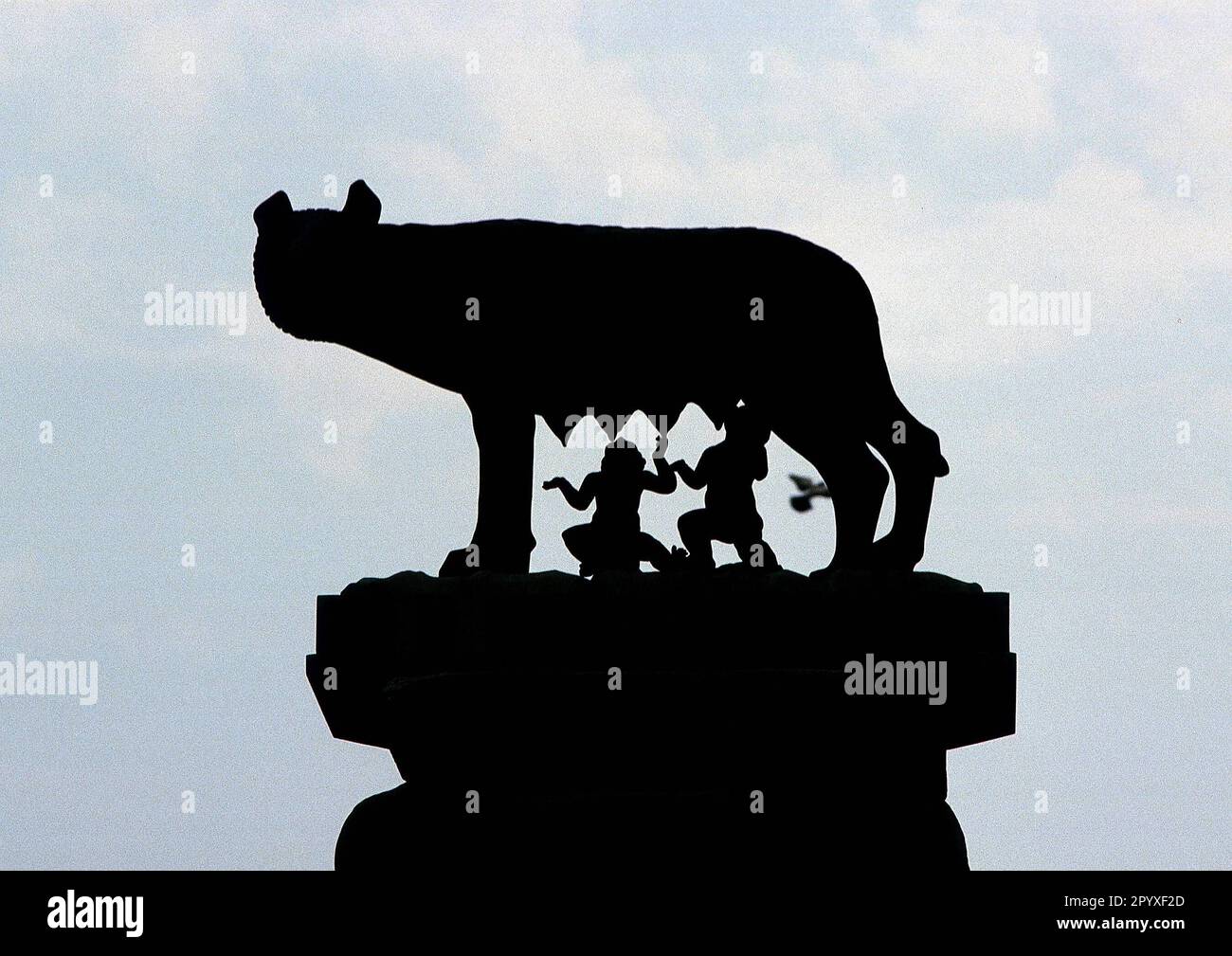 Romulus remus wolf hi-res stock photography and images - Alamy