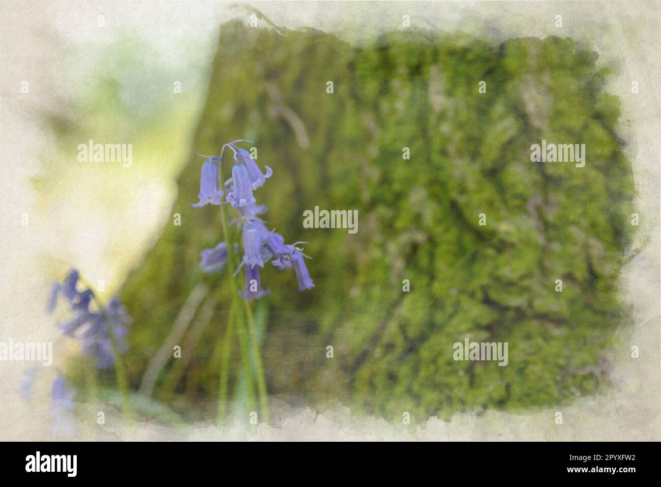 Digital watercolour painting of purple bluebell flowers against a ...
