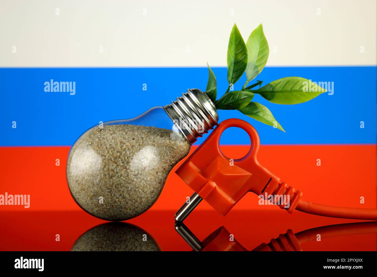 Plug, plant growing inside the light bulb and Russia Flag. Green eco ...
