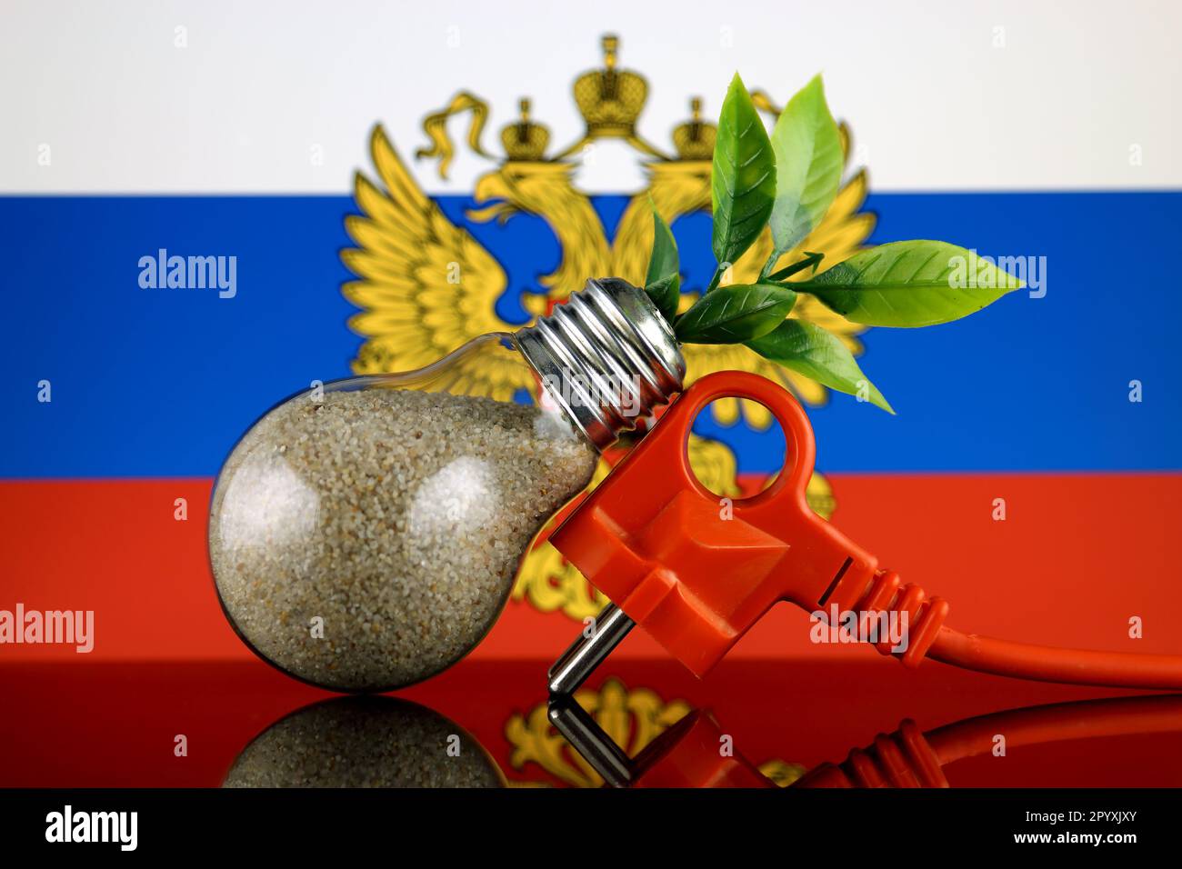 Plug, plant growing inside the light bulb and Russia Flag. Green eco ...