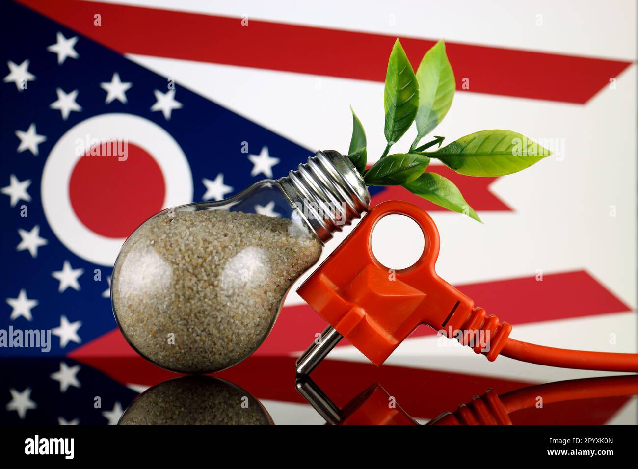 Plug, plant growing inside the light bulb and Ohio State Flag. Green ...