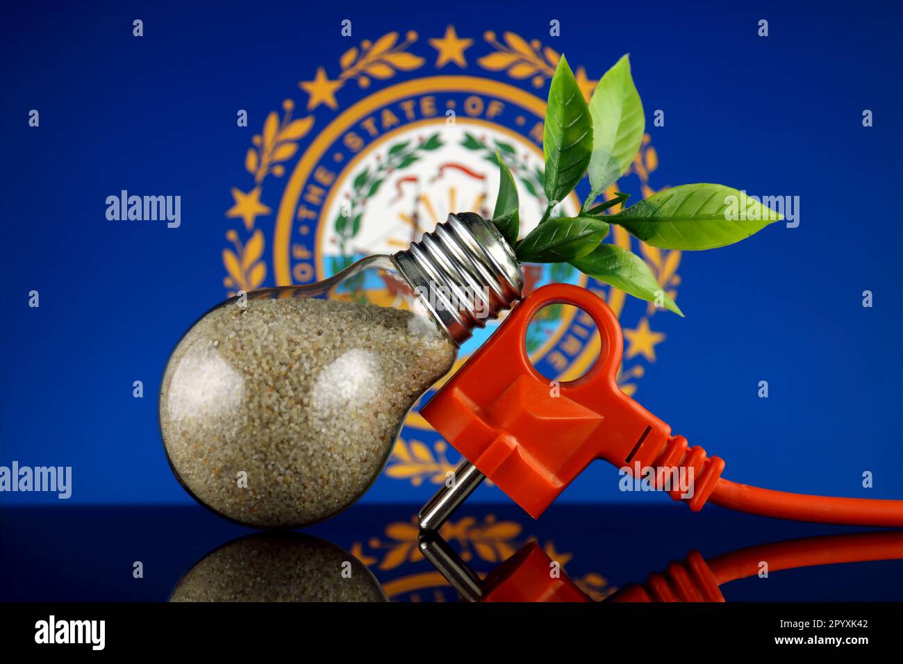 Plug, plant growing inside the light bulb and New Hampshire State Flag ...