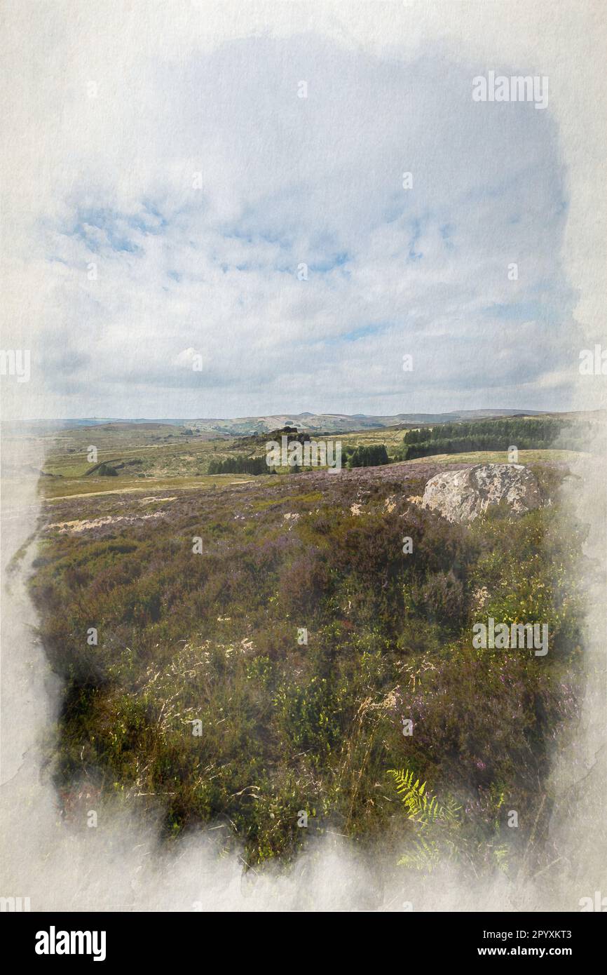 A digital watercolour painting of purple heather in bloom during summer ...
