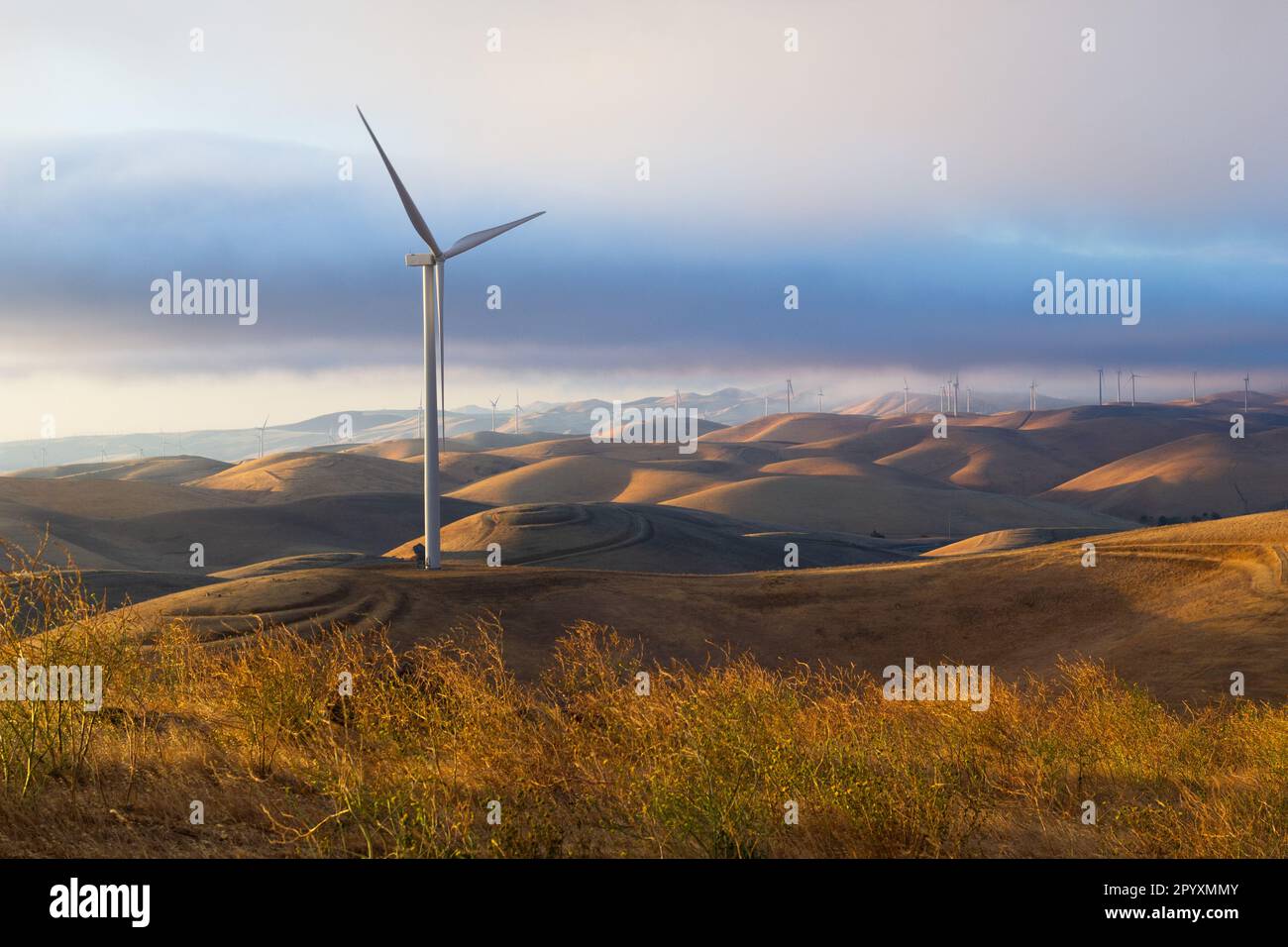 The altamont hi-res stock photography and images - Alamy