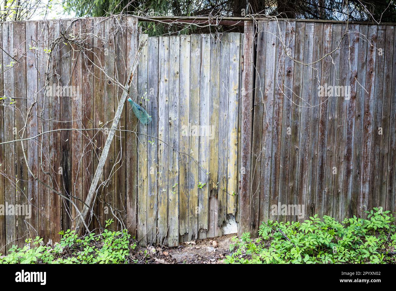 Old door wicket gate in hi-res stock photography and images - Alamy