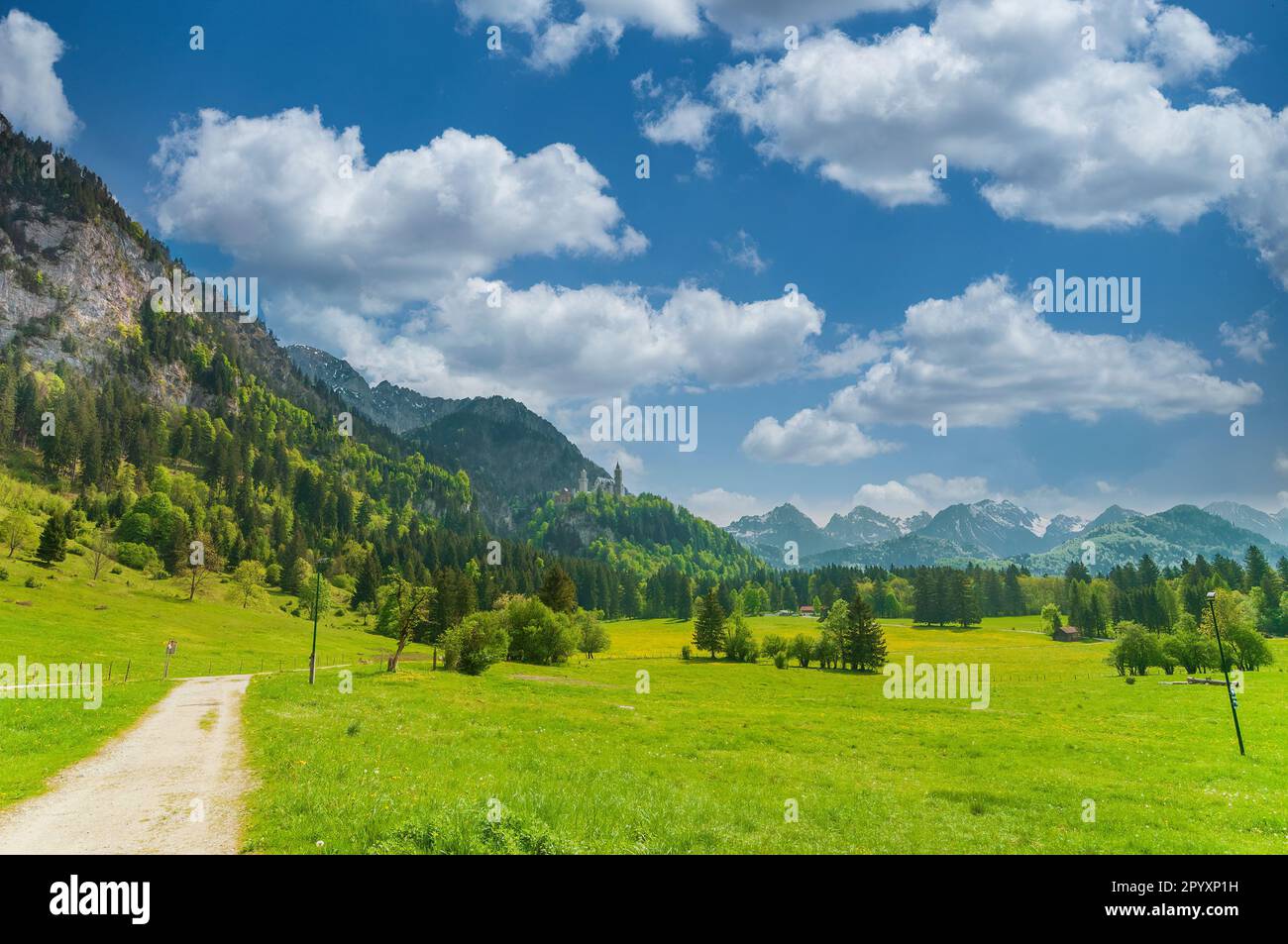 Scenic landscape in Bavaria, Germany. Green pasture with famous ...