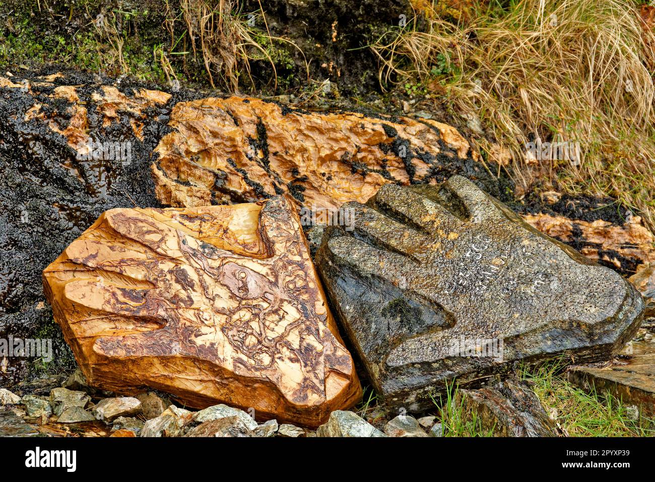 Knockan Crag National Nature Reserve Scotland The Moine Thrust fault at ...