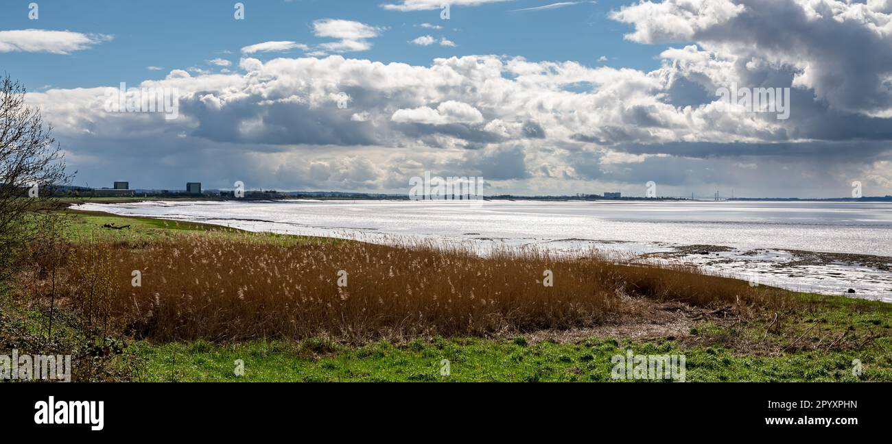 View of the River Severn from Sharpness Docks, with Berkeley and ...