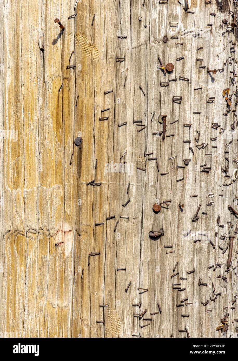 Telephone Pole Texture