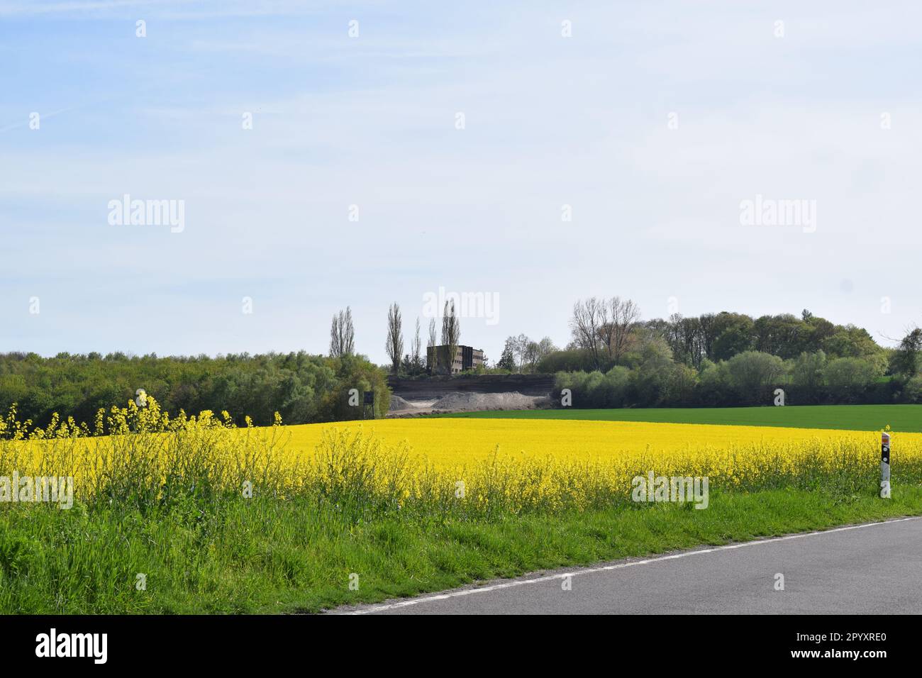 big ruin at the edge of the forest Stock Photo - Alamy