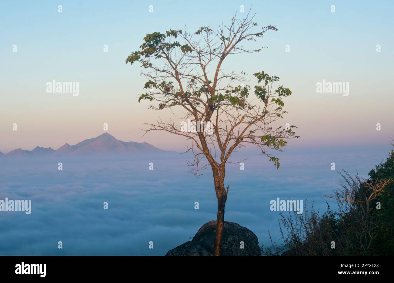 Sun hits the first light the Vavul Mala and Ambukuthy Mala and a low ...