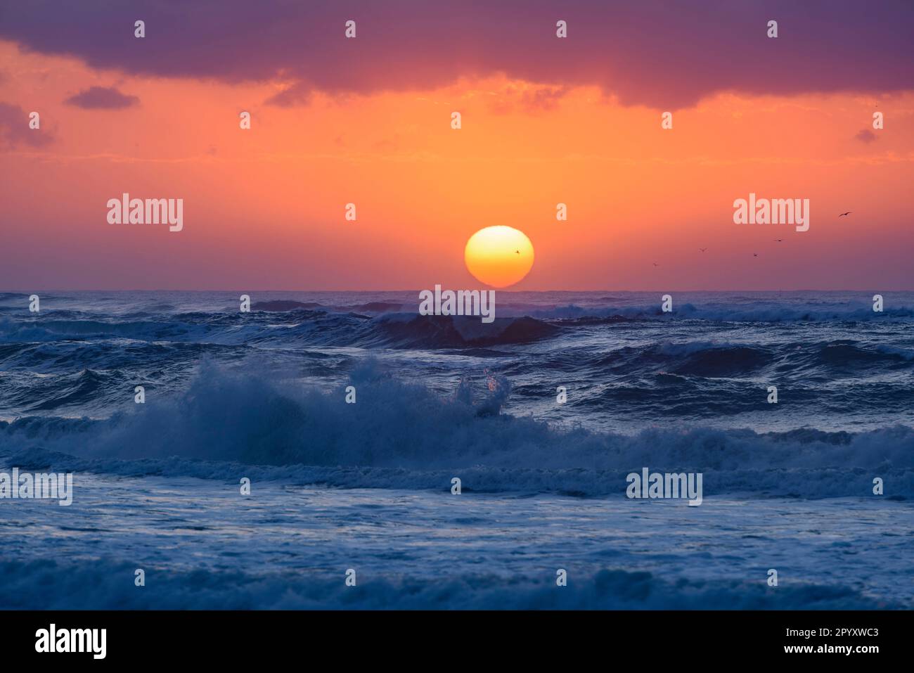 Olas de viento hi-res stock photography and images - Alamy