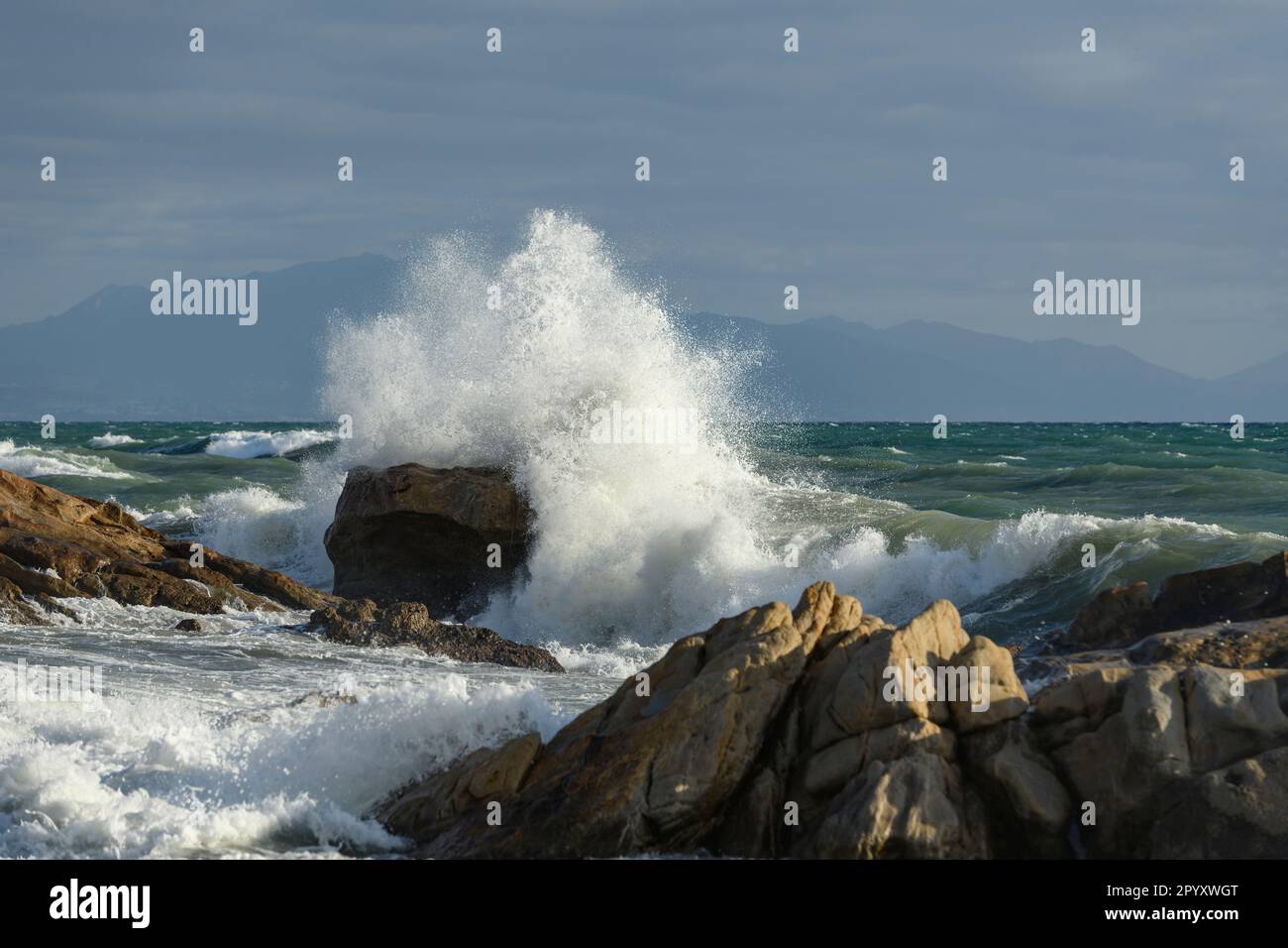 Olas de viento hi-res stock photography and images - Alamy