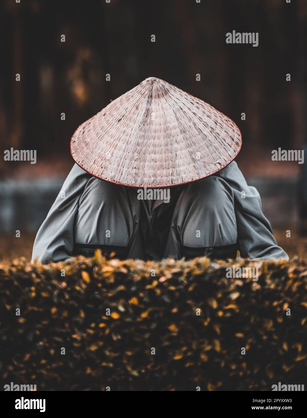 An Asian woman wearing a traditional conical hat Stock Photo - Alamy