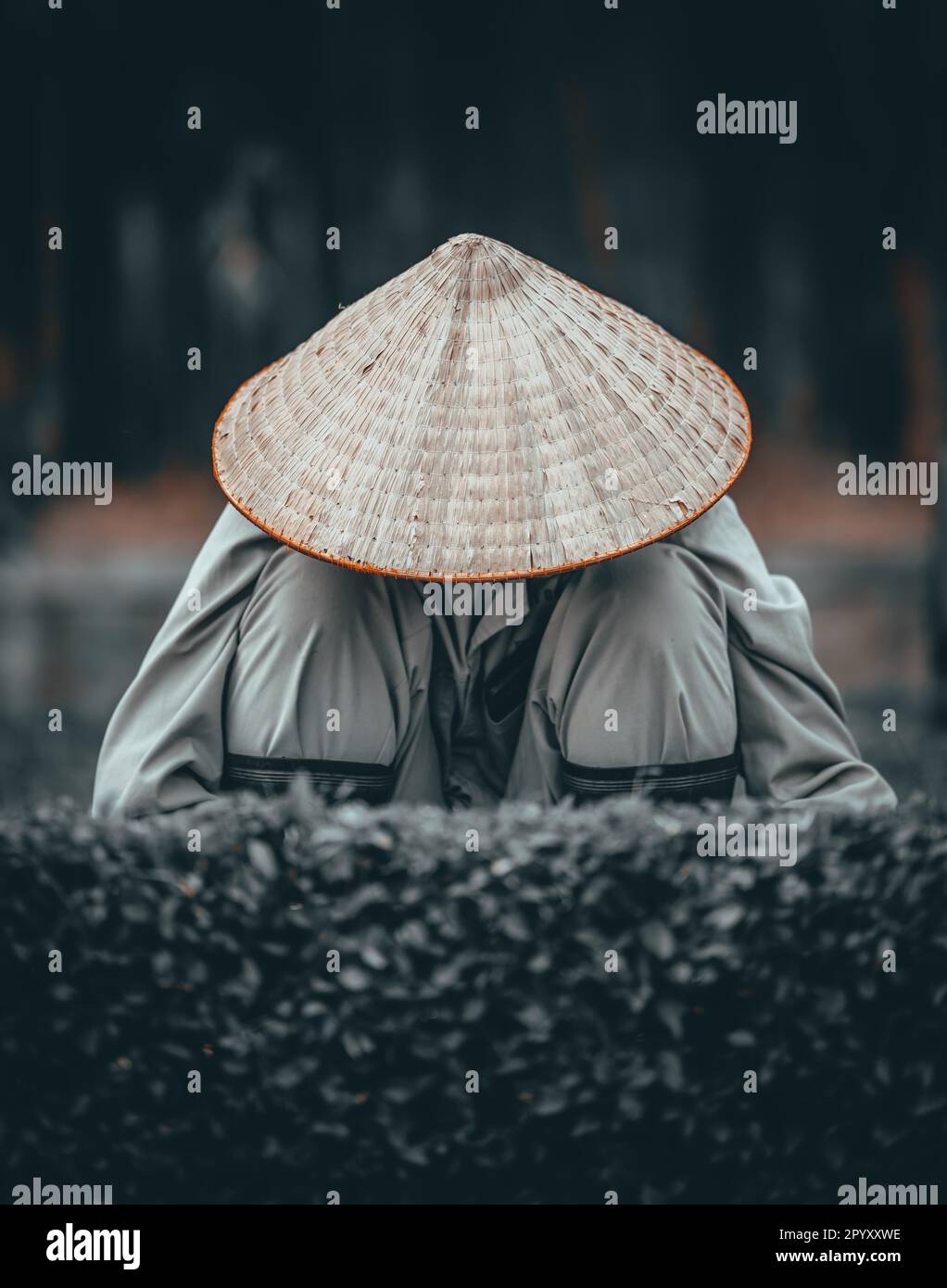 An Asian woman wearing a traditional conical hat Stock Photo - Alamy
