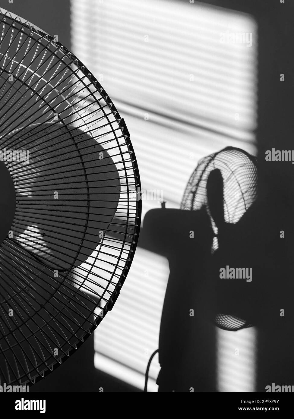 Looking through a fan at its shadow cast on the wall. Light through ...