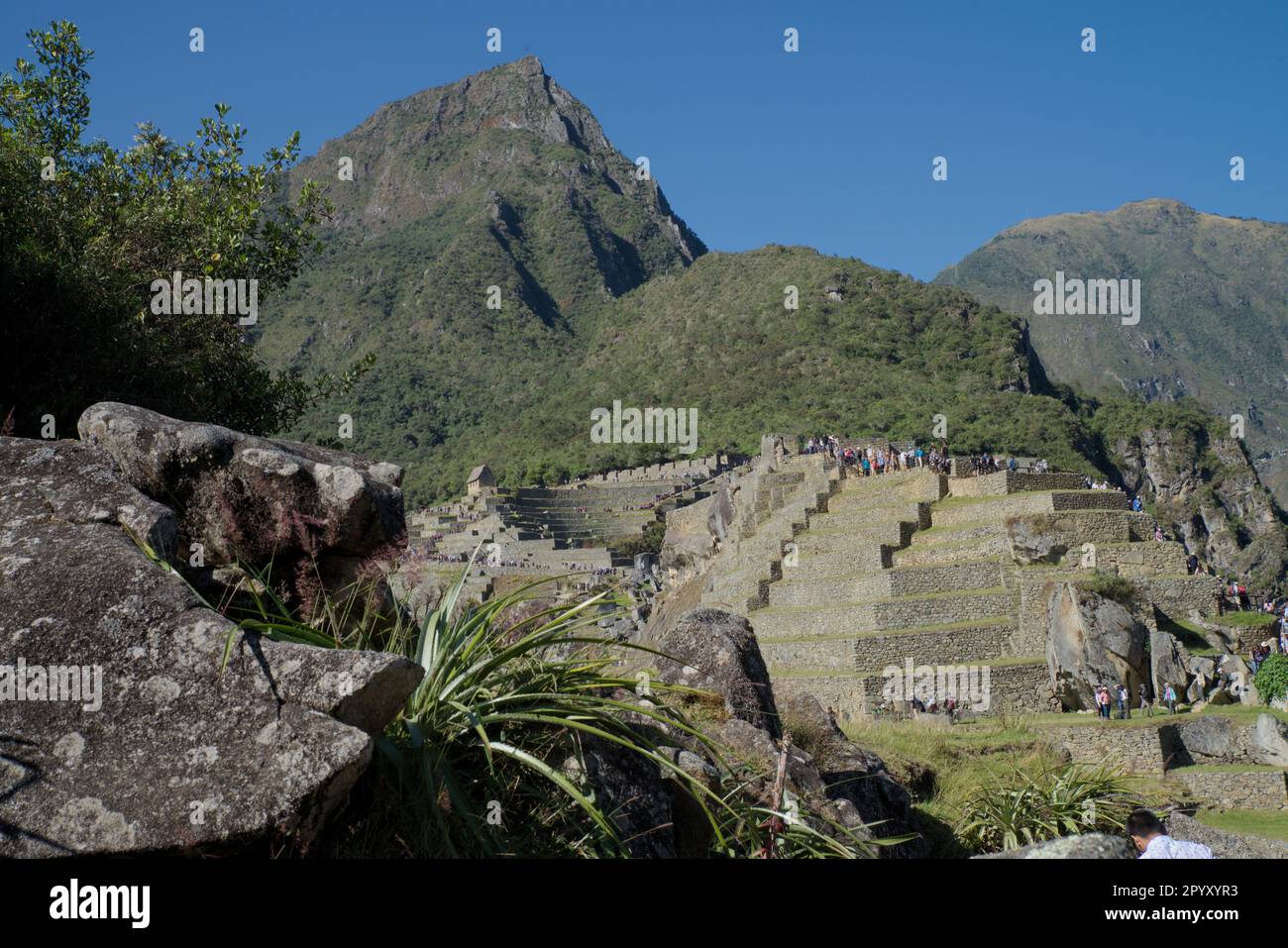 Machu Picchu in Peruvian Andes Stock Photo - Alamy