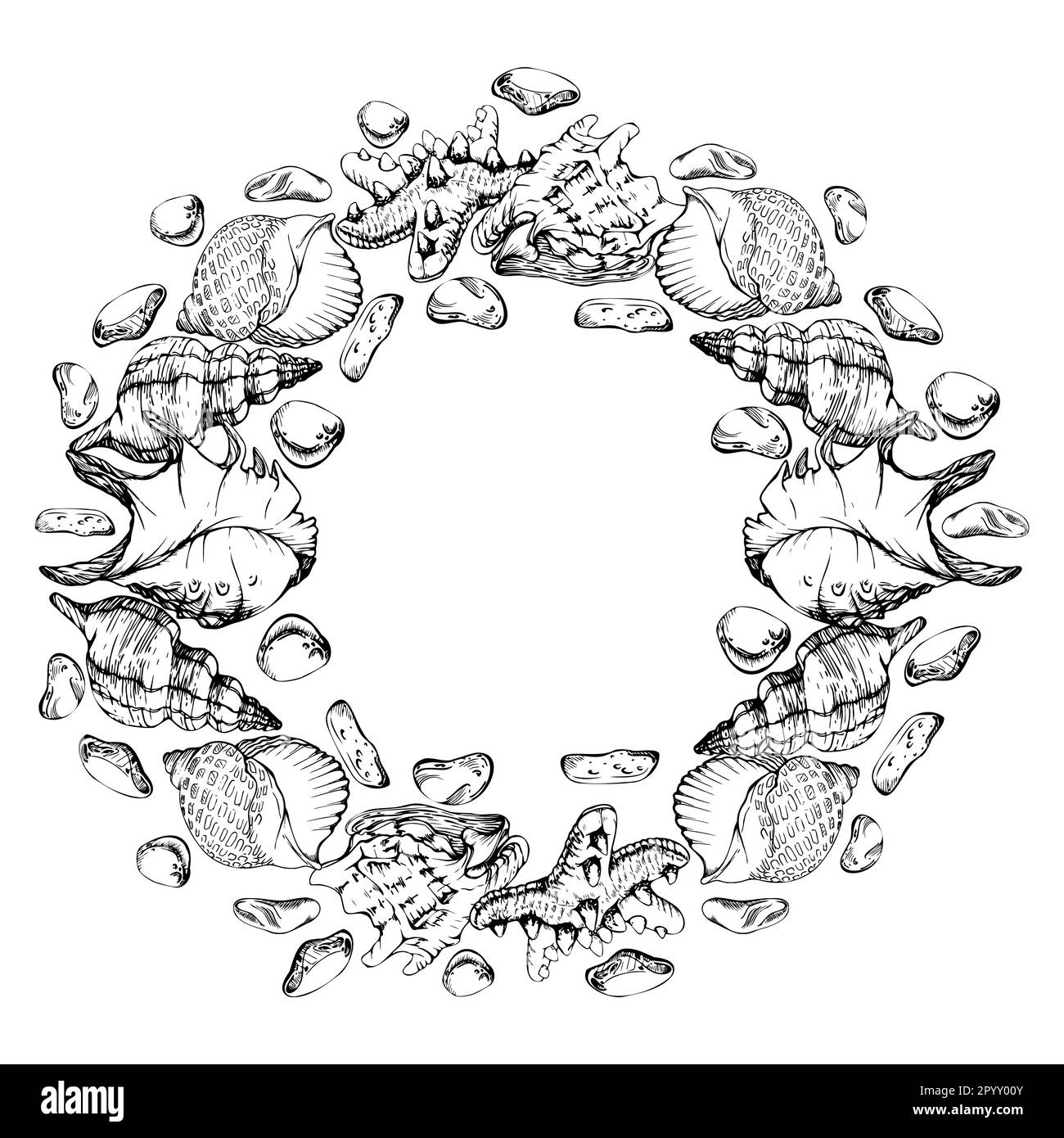 Hand drawn vector ink exotic sea shells and colorful glass, starfish ...