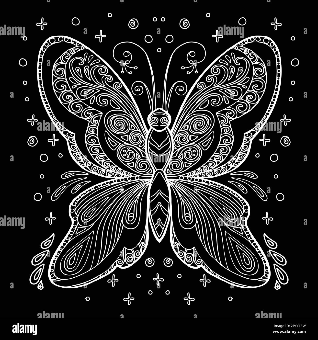 Vector decorative doodle ornamental butterfly. Abstract vector ...