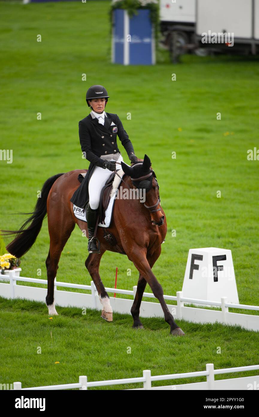 Horses kidding hi-res stock photography and images - Alamy