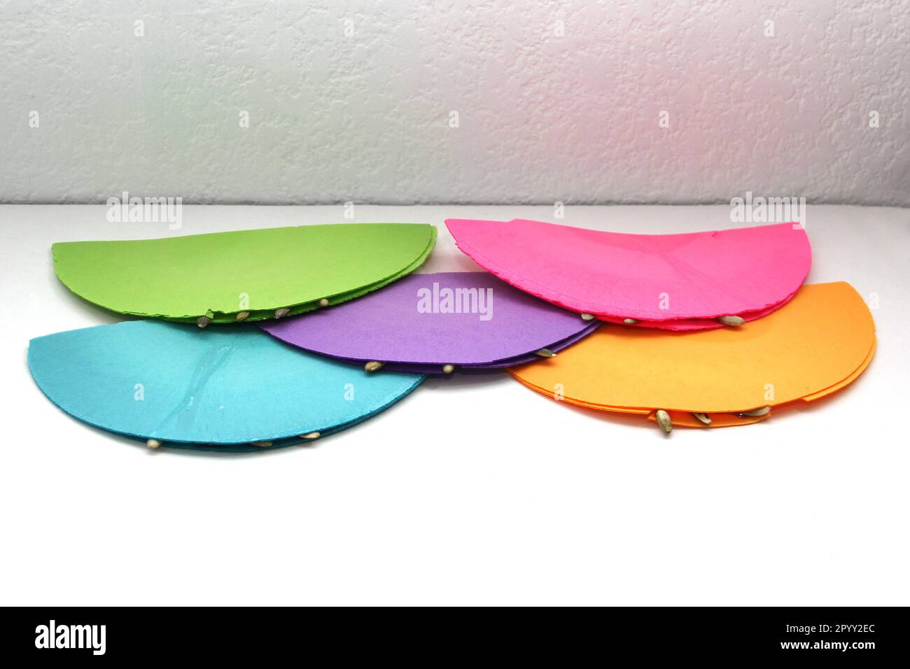 Typical mexican candy colored wafers glued with honey decorated with ...