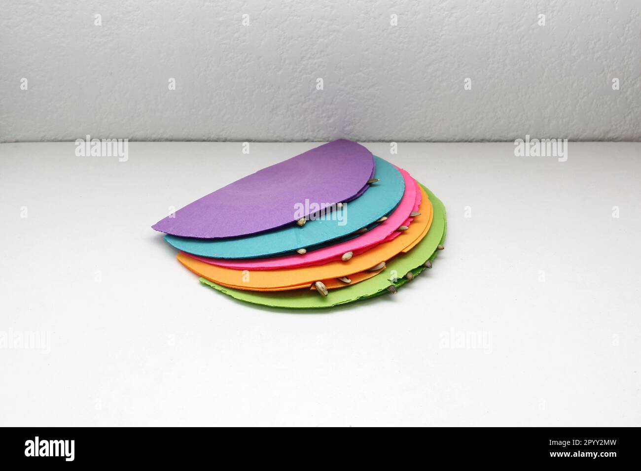 Typical mexican candy colored wafers glued with honey decorated with ...