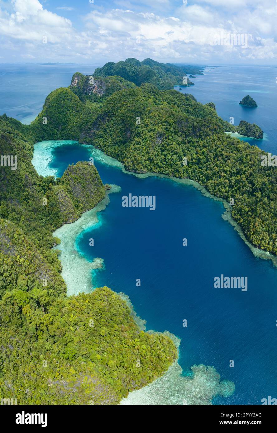 Coral reefs surround the rugged limestone islands that rise from Raja ...