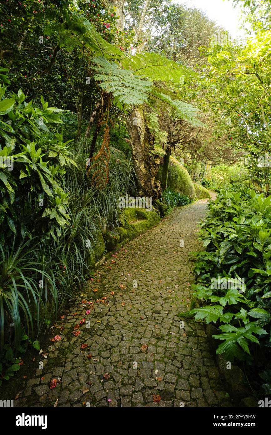 The Villa Sassetti path to the Pena Palace is easy for the first part ...