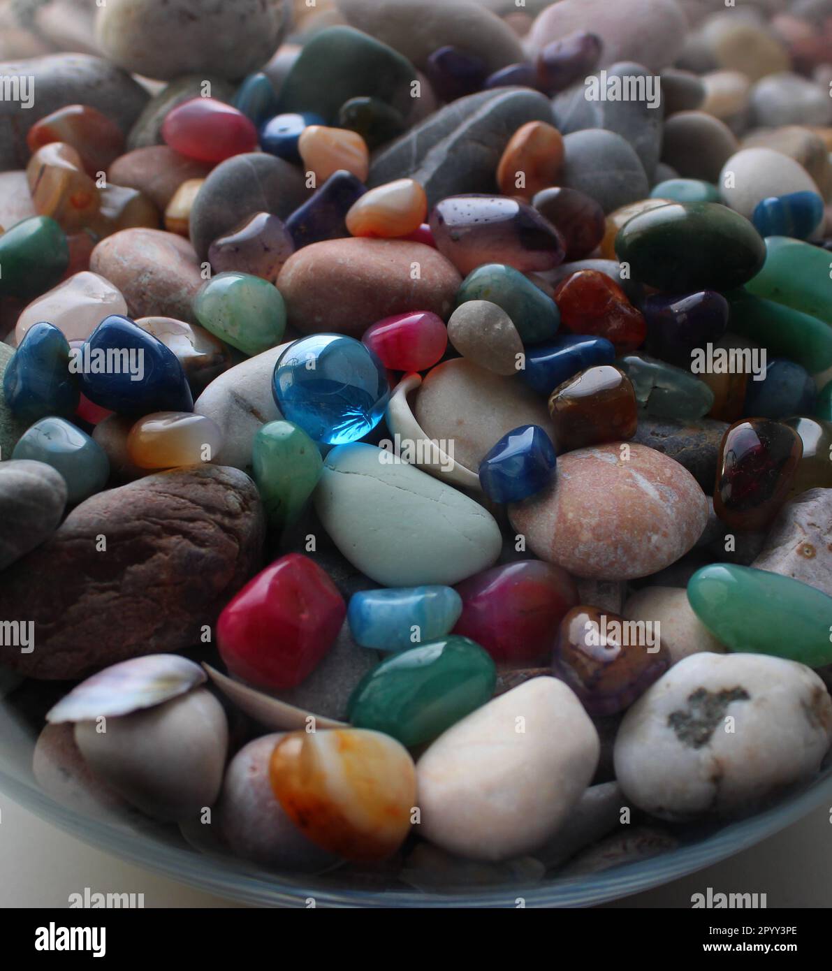 Precious Pebble Stones