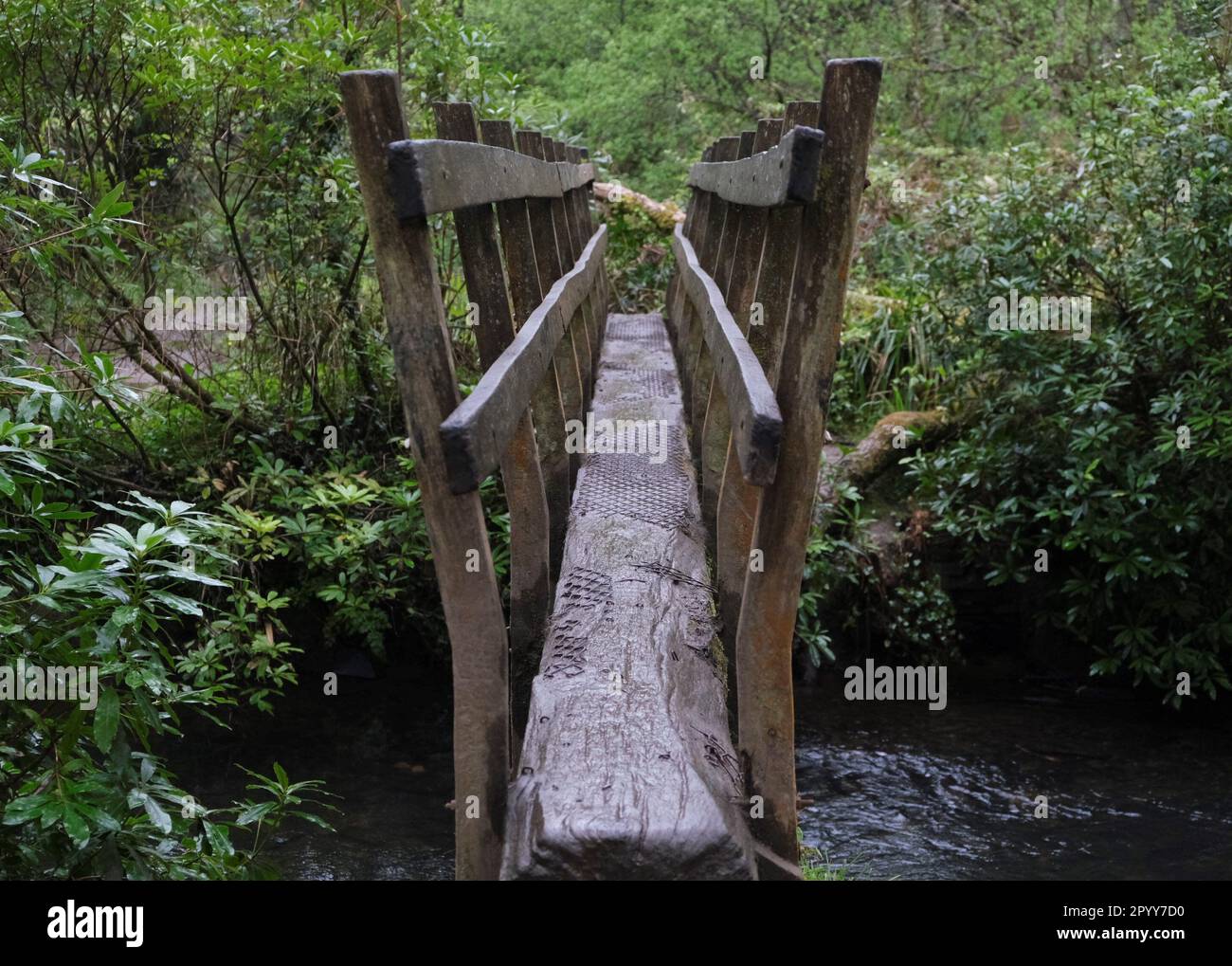 Environment bridge hi-res stock photography and images - Alamy