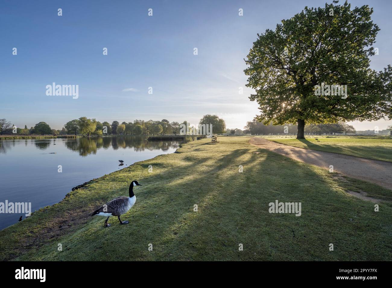 Stroll in the park hi-res stock photography and images - Alamy