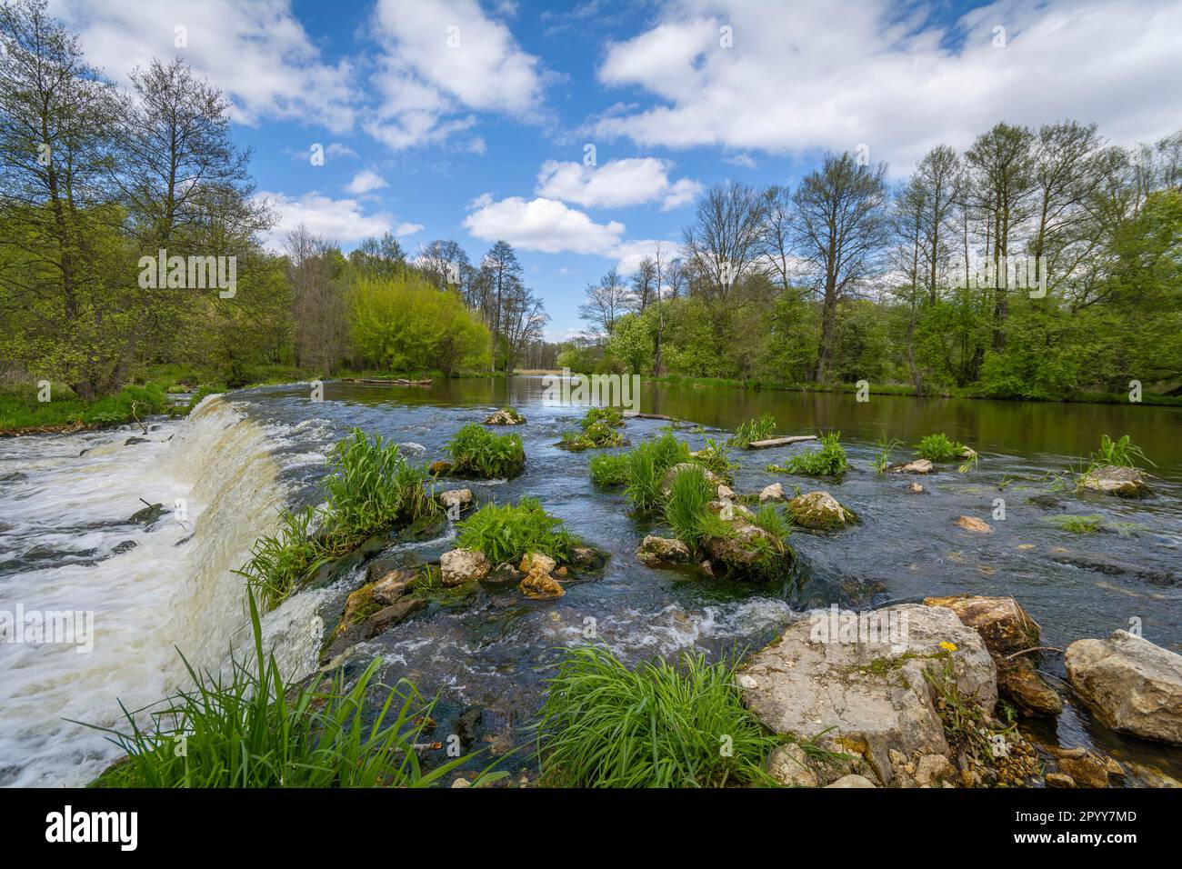 Spring on the banks of the Warta River, Poland Stock Photo - Alamy
