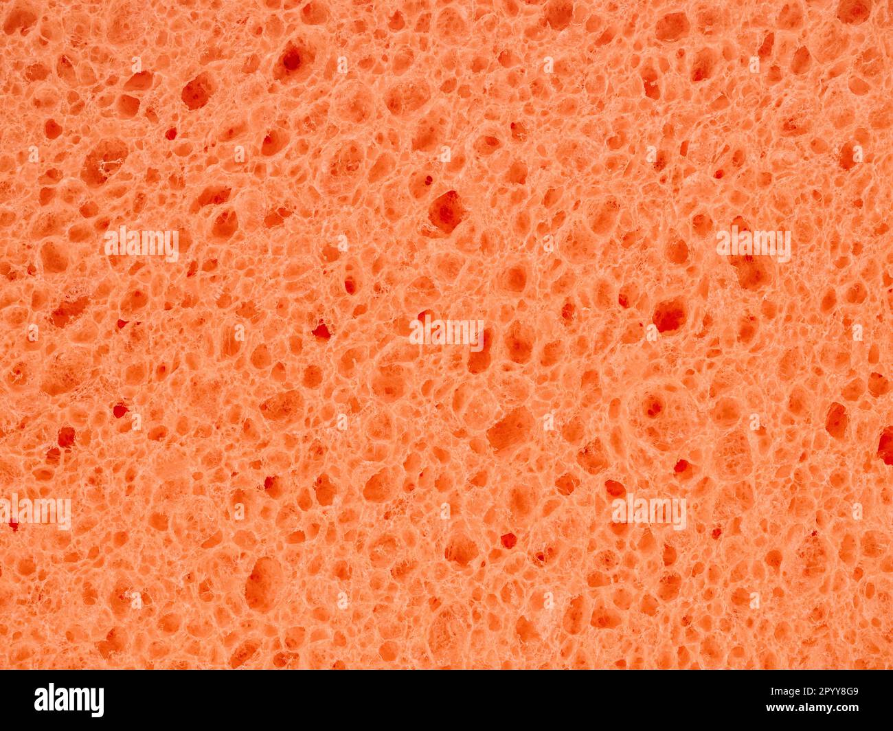 Detailed texture of washing sponge Stock Photo - Alamy
