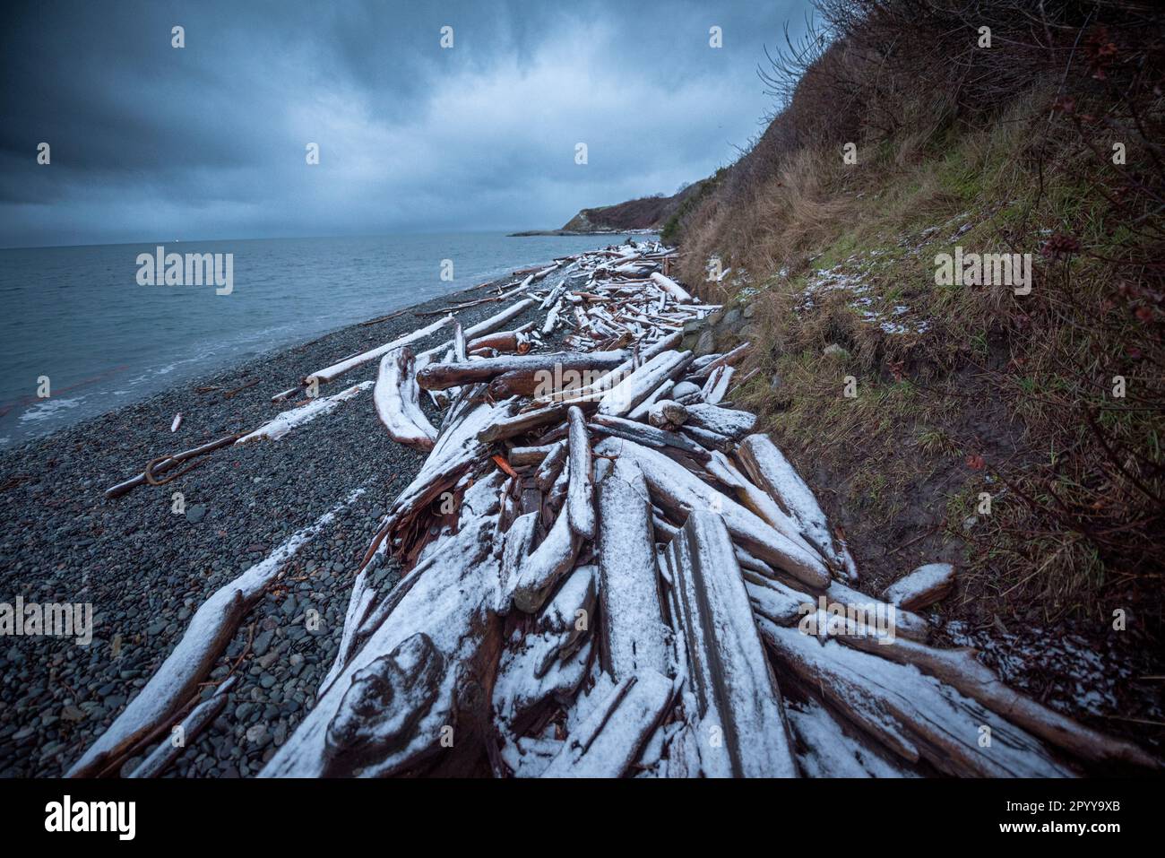 December in victoria bc hi-res stock photography and images - Alamy
