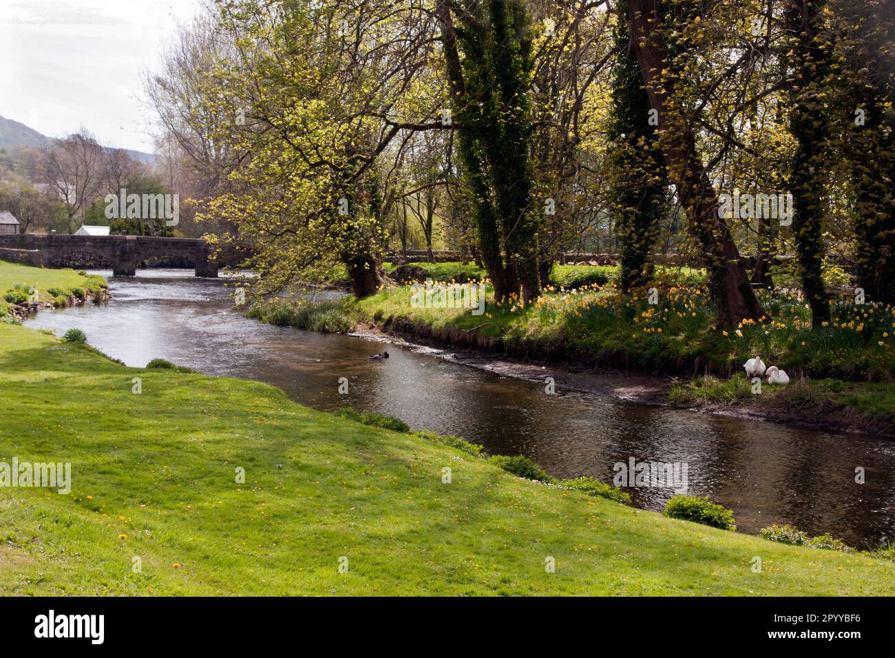 Wyedale peak district hi-res stock photography and images - Alamy