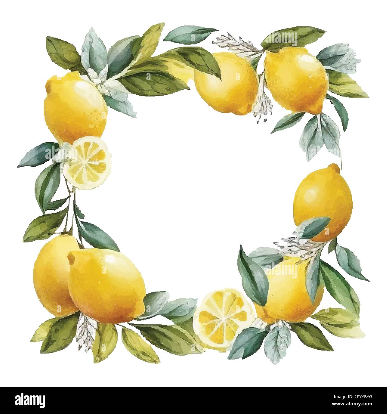Lemon buds Stock Vector Images - Alamy