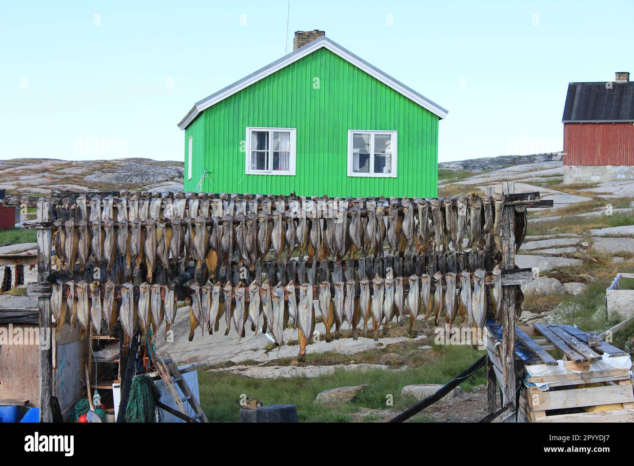 A view of Oqaatsut Rodebay in Greenland, with an array of freshly ...
