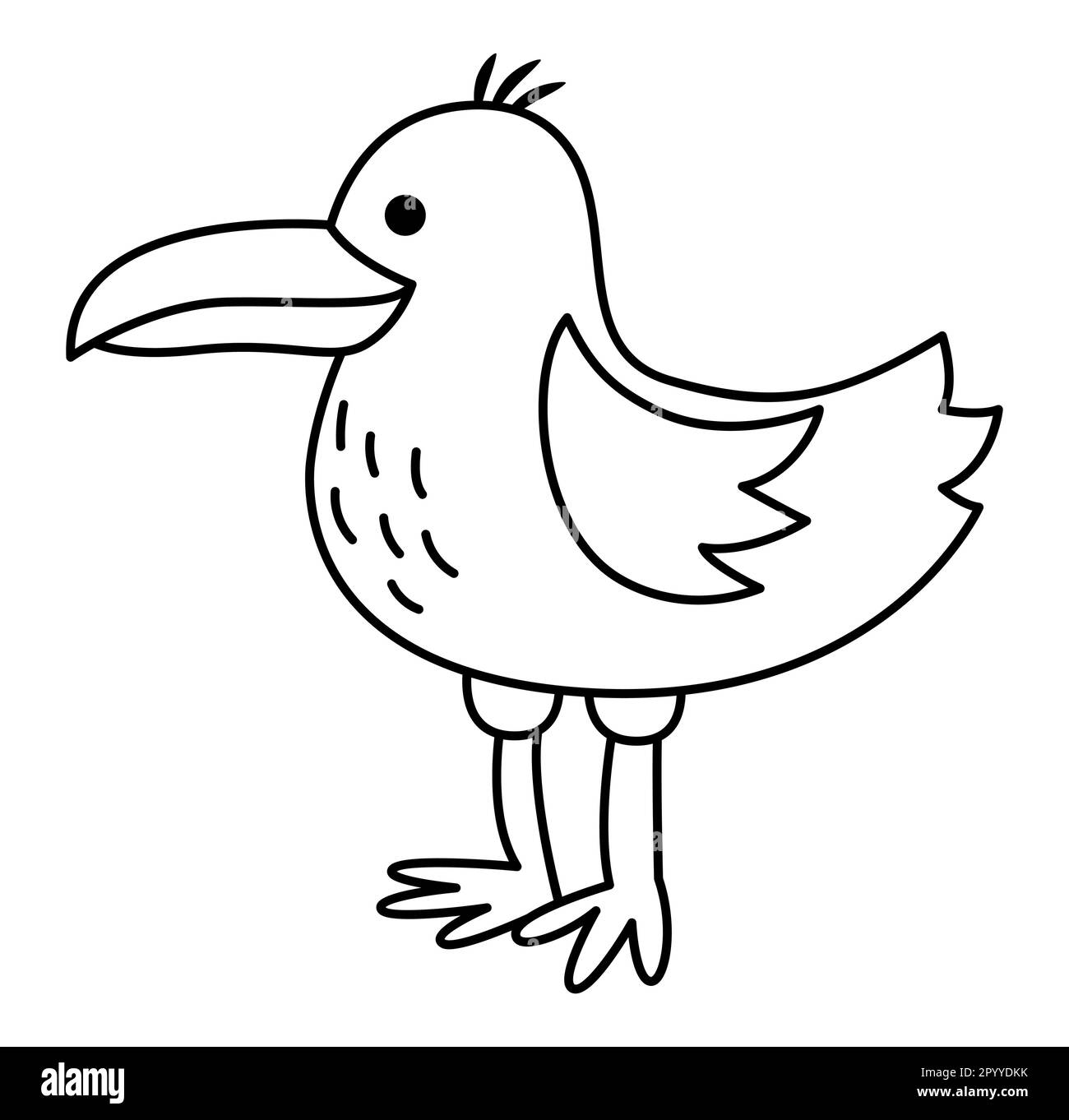 Seagull Outline Clipart American