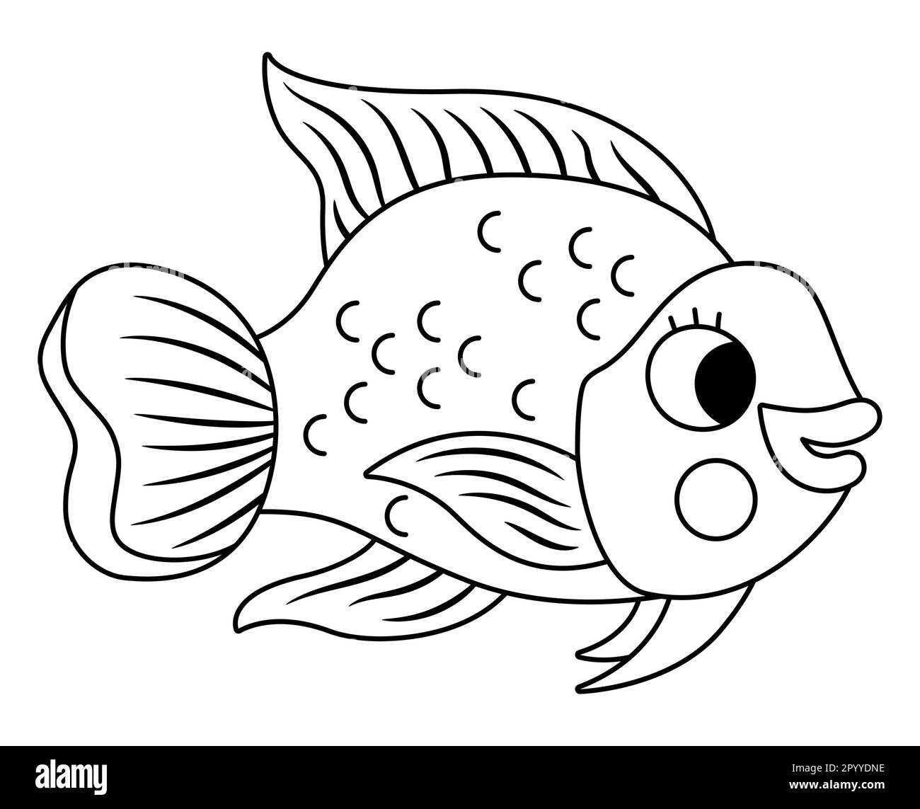 The parrot fish Black and White Stock Photos & Images - Alamy