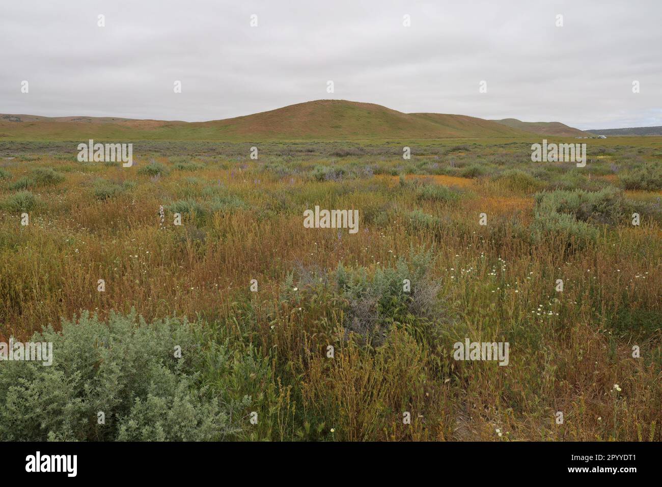 Aerial soda lake carrizo plain hi-res stock photography and images - Alamy