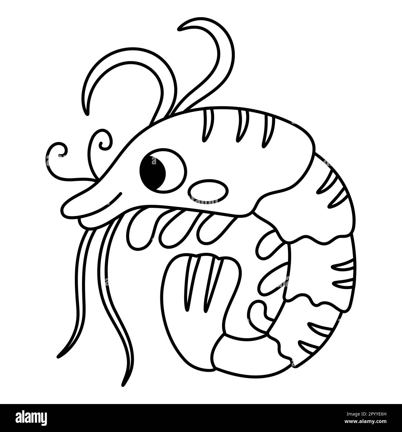 Cute Shrimp Coloring Pages
