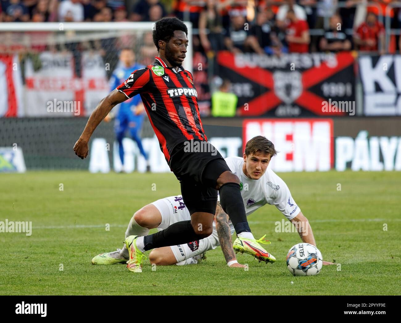 Nikitscher hi-res stock photography and images - Alamy