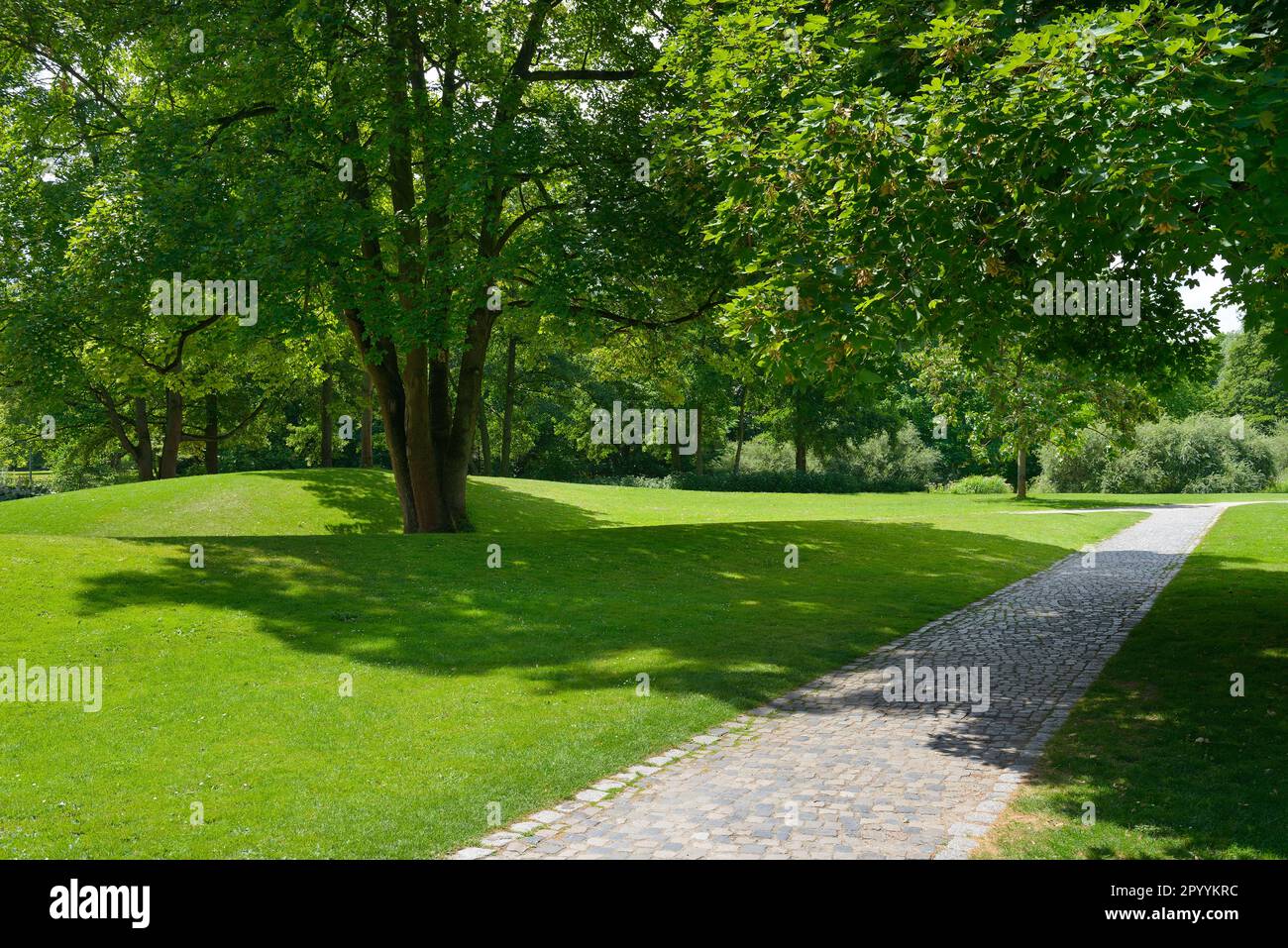 Beautiful meadow in the beautiful park Stock Photo - Alamy